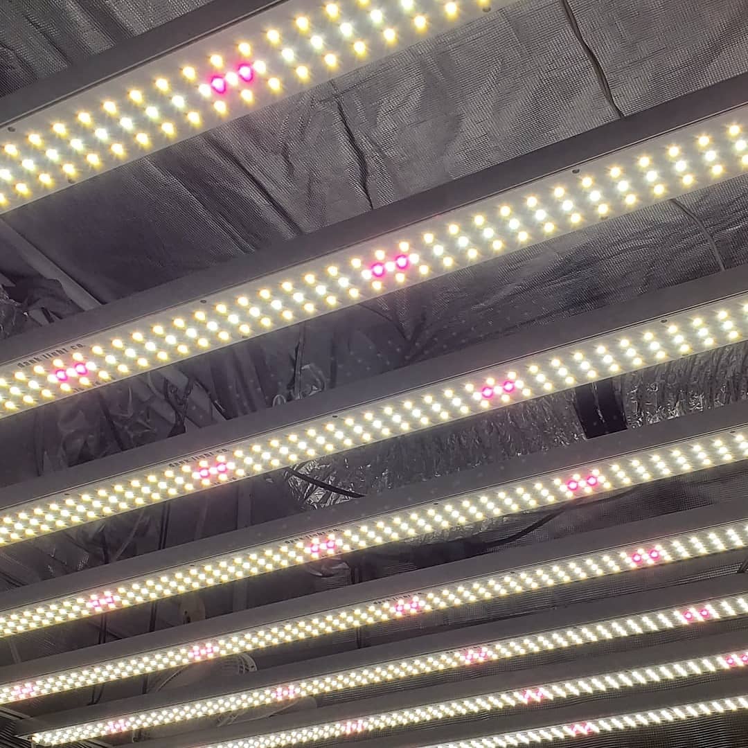 New Big Red 120 is here! More diodes, more output, more efficiency ...